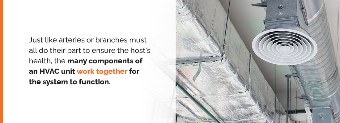 Your Ultimate Guide to HVAC Ductwork | Maintenance & Issues